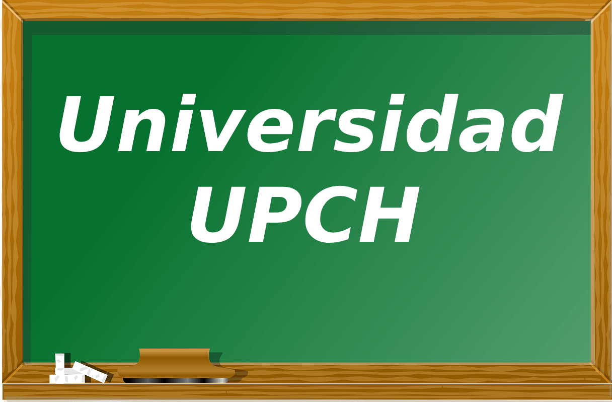 Universidad Cayetano Heredia 【 Carreras - 2024